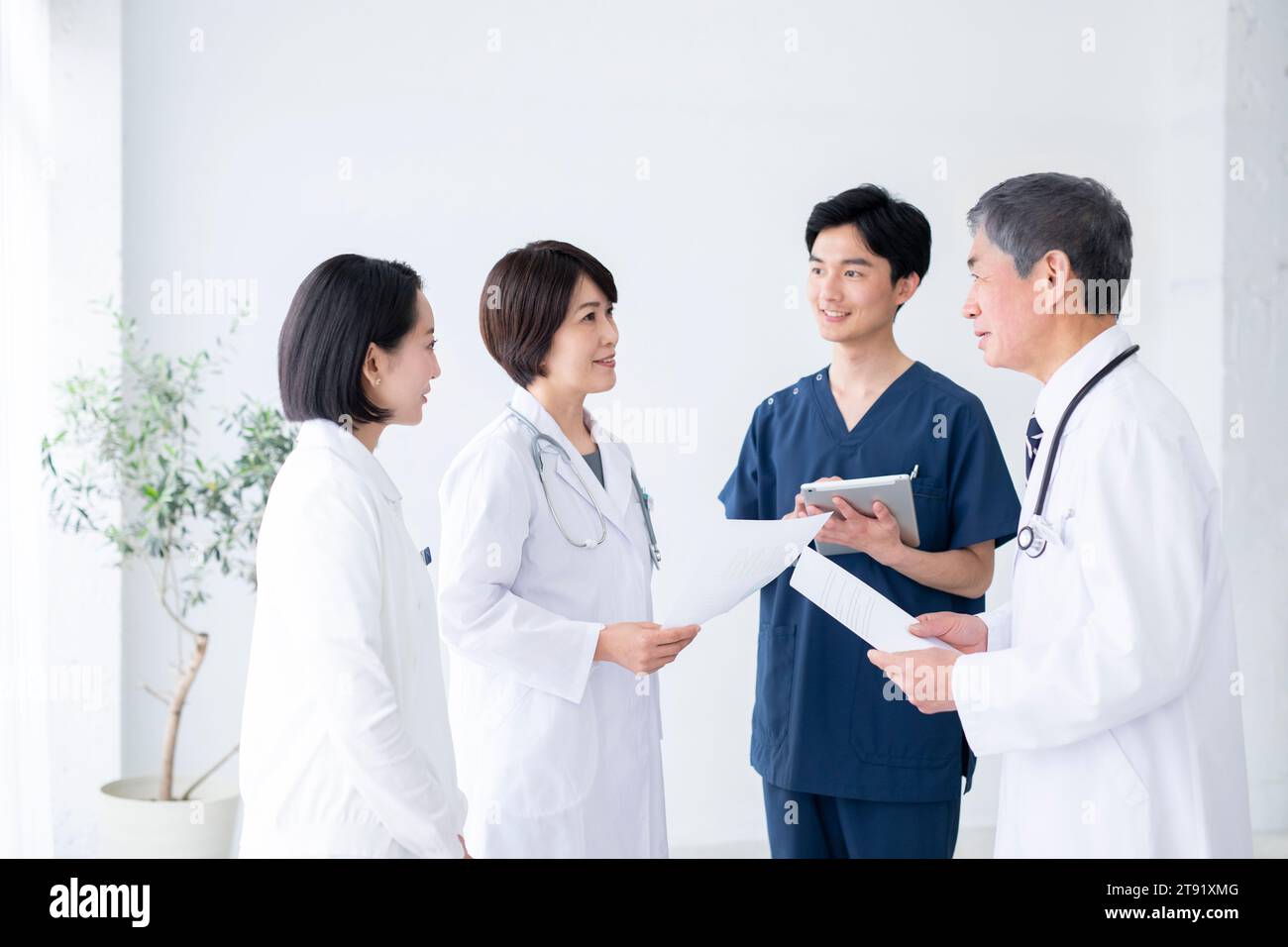 Doctor and nurse having a meeting Stock Photo - Alamy