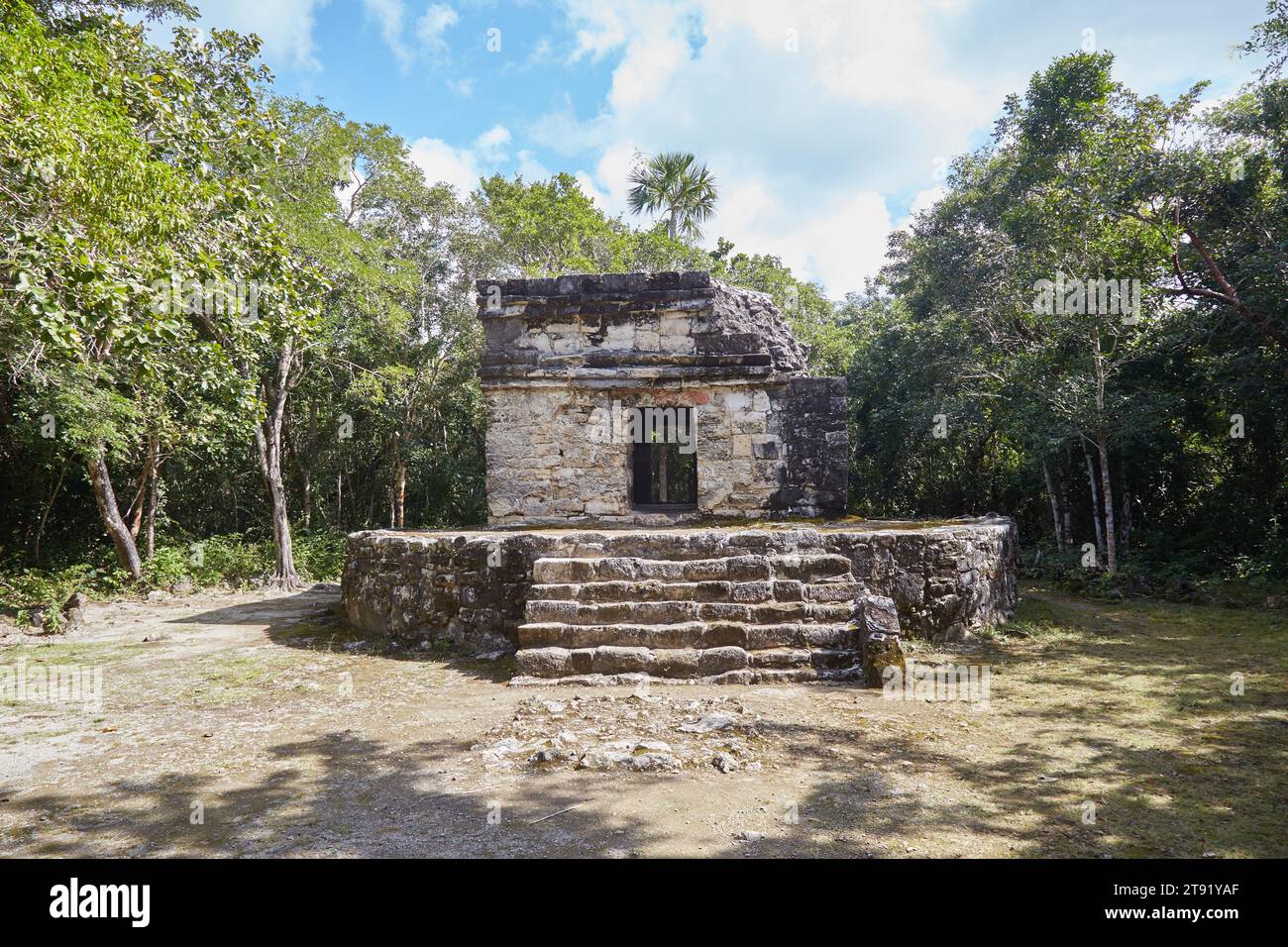 The obscure Mayan ruins of San Gervasio, located on the Mexican island ...