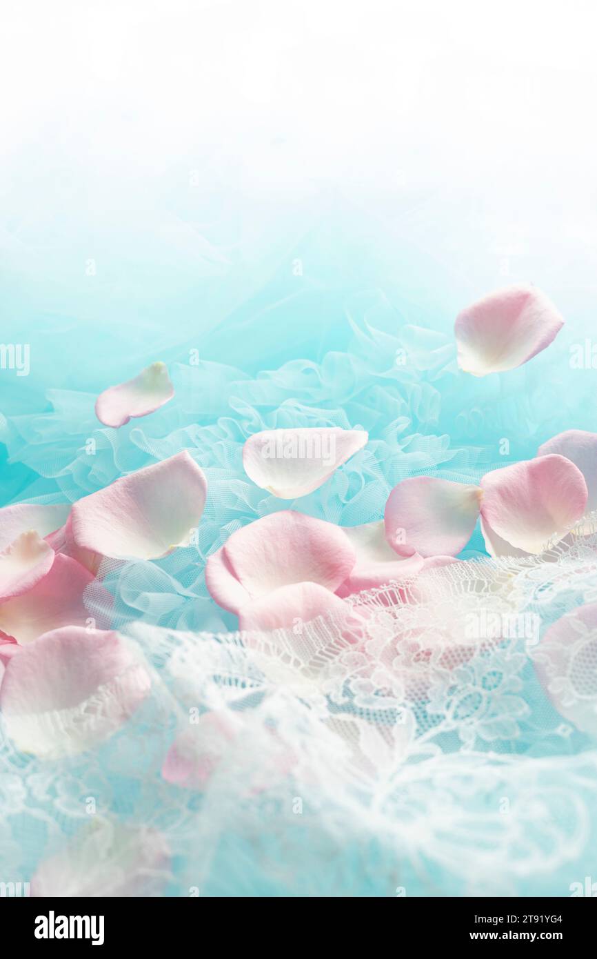 Pink rose petals scattered on bright blue tulle lace Stock Photo - Alamy