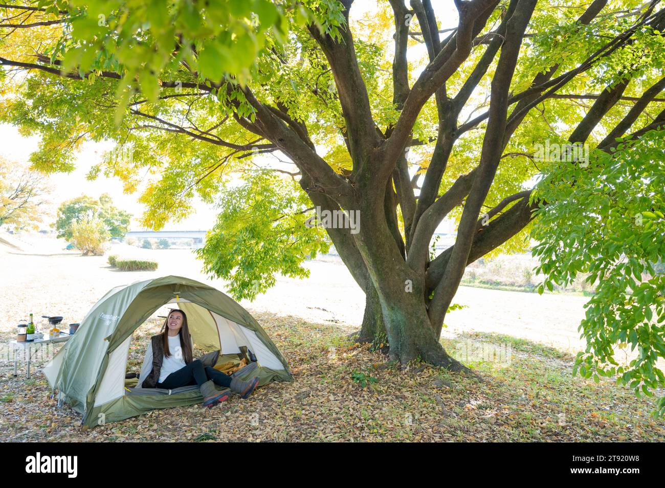 woman camping solo Stock Photo - Alamy