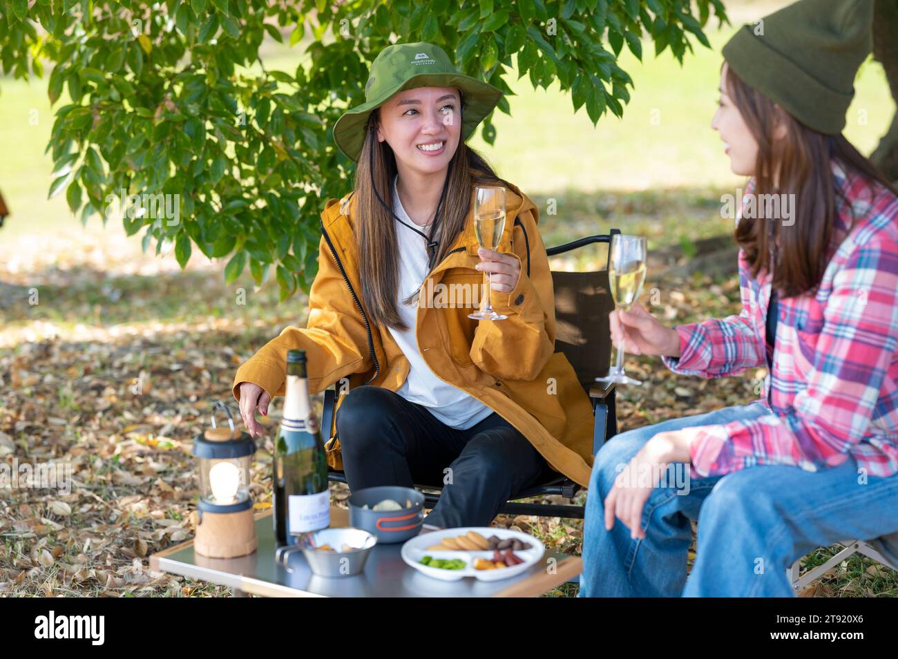 Two women enjoying camping Stock Photo - Alamy