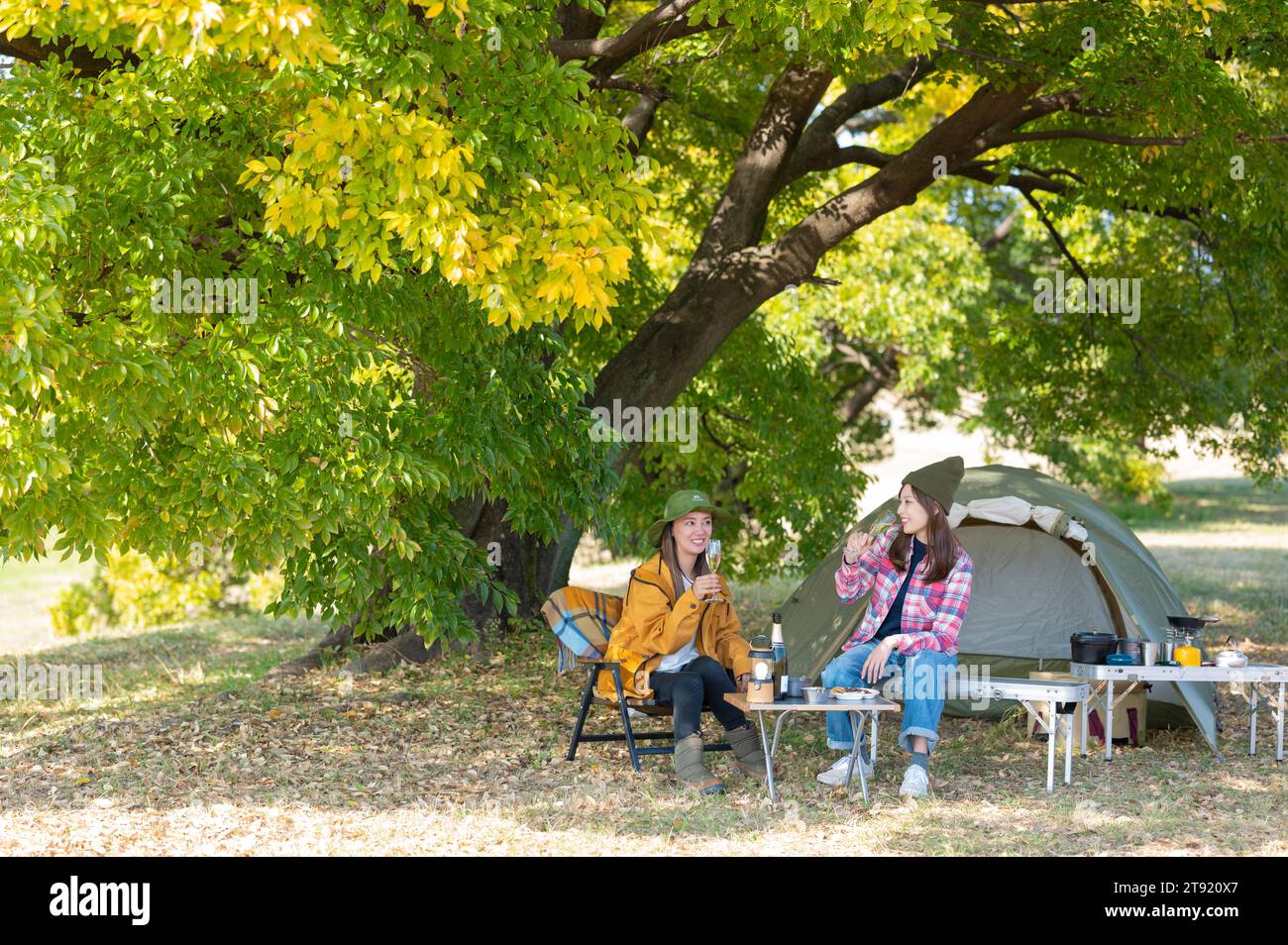 Two women enjoying camping Stock Photo - Alamy