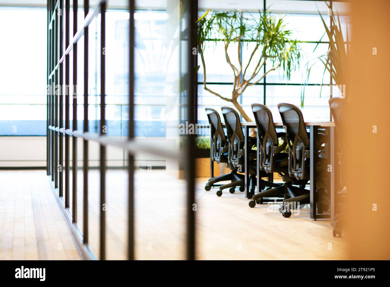 External room hi-res stock photography and images - Alamy