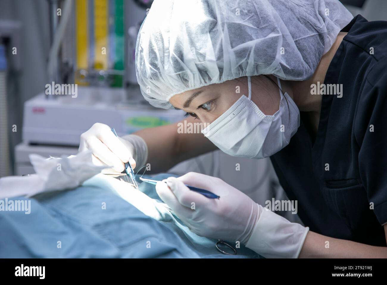 doctor during surgery Stock Photo - Alamy