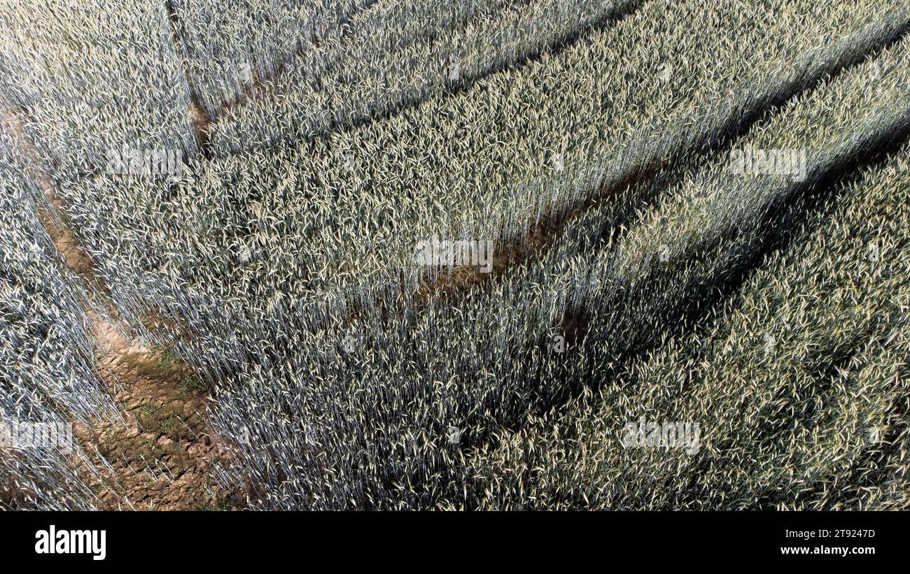 France, Brittany, Dinan, on 2022-06-11. Aerial view of Breton landscape ...