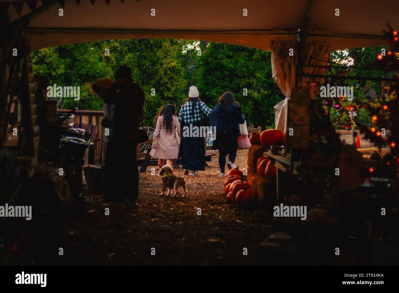 Three women in trendy rustic autumn outfits at a rustic rural farm ...