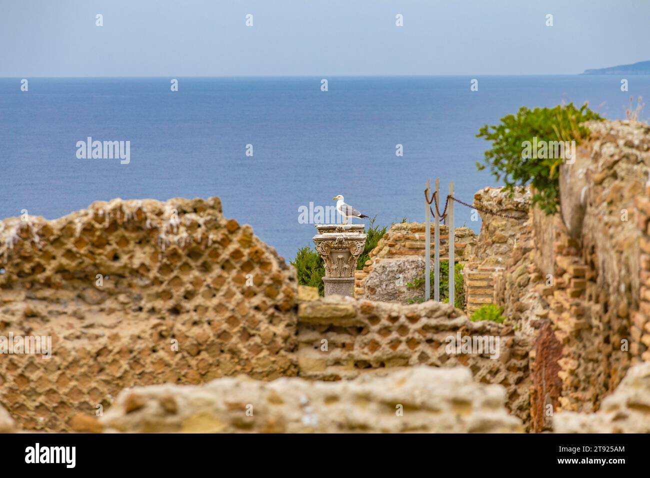 The ancient Villa Romana, Giannutri Island, Tuscany Stock Photo - Alamy