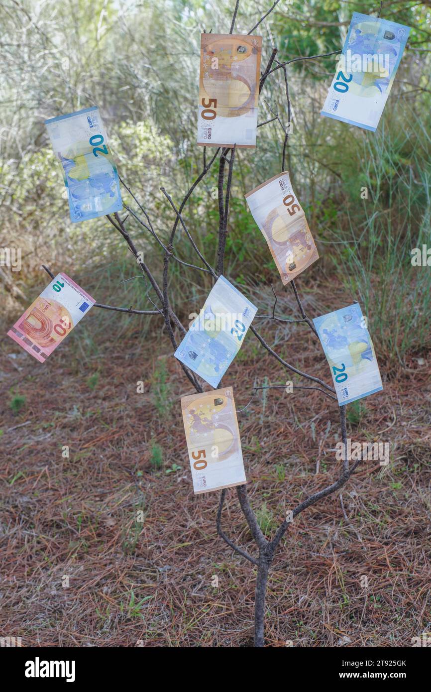 Euro banknotes hanging from a tree branch in the countryside Stock ...