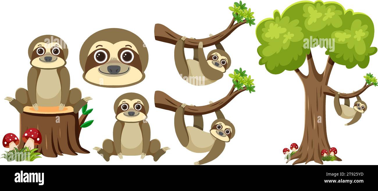 Vector cartoon illustration of a sloth hanging on a branch surrounded ...