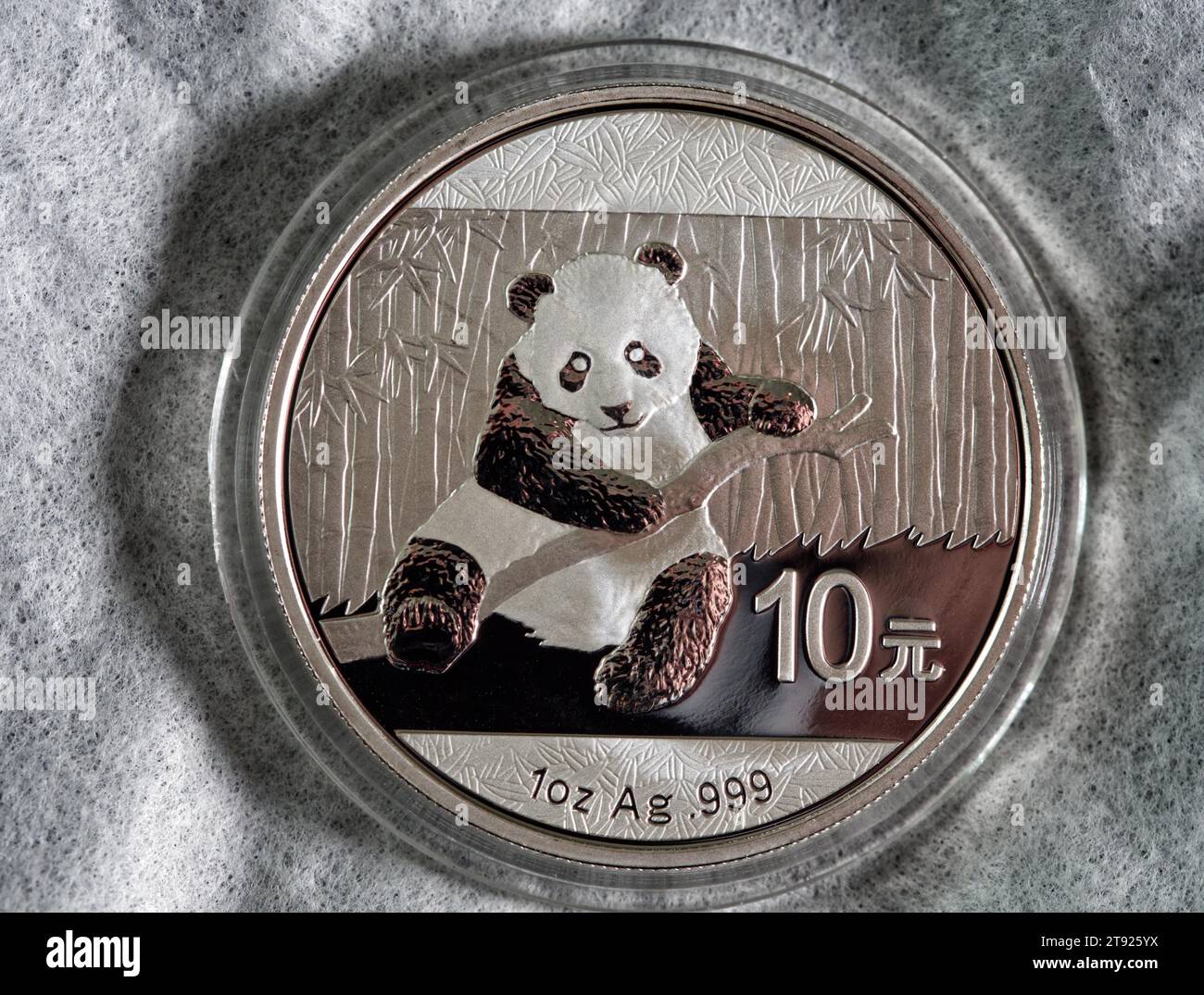 Chinese silver coin, China Panda, 1 ounce, motif, panda bear with a ...