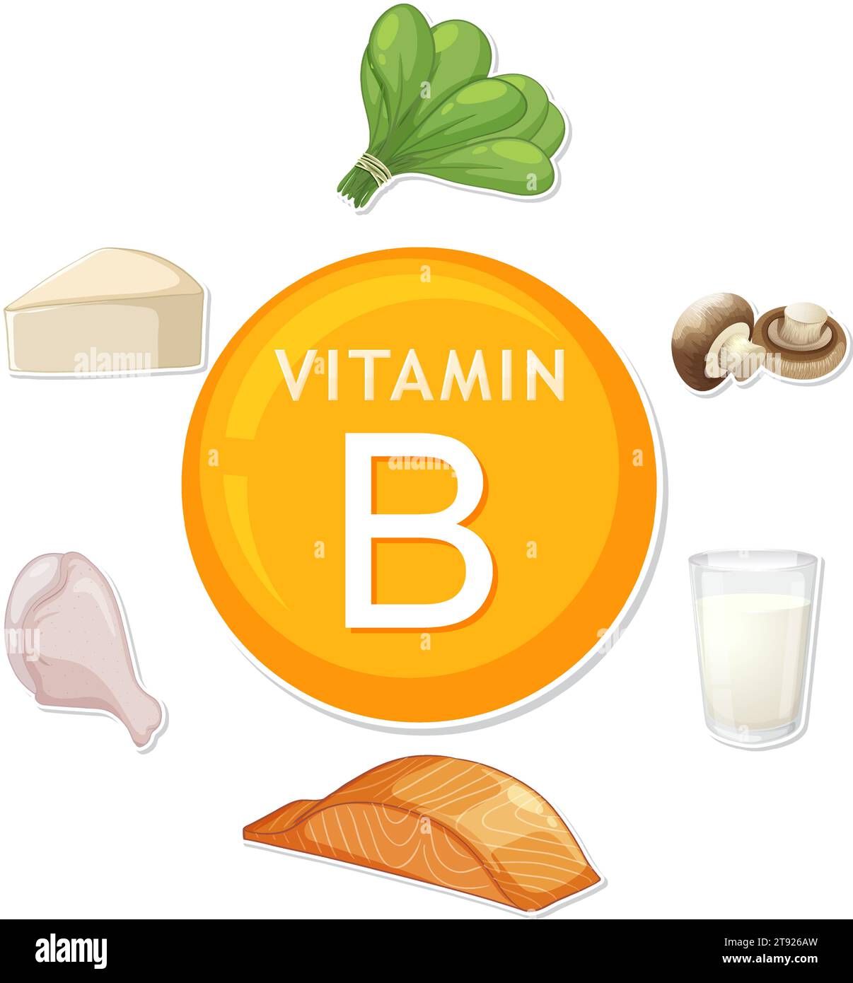 Illustration Of Vitamin B Rich Foods In A Vector Cartoon Style Stock