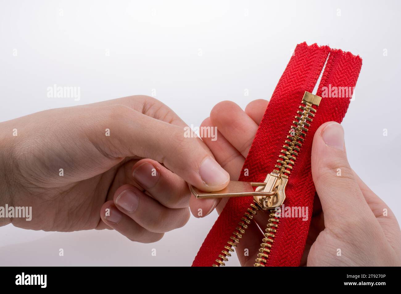 Hand holding color zipper on a white background Stock Photo - Alamy