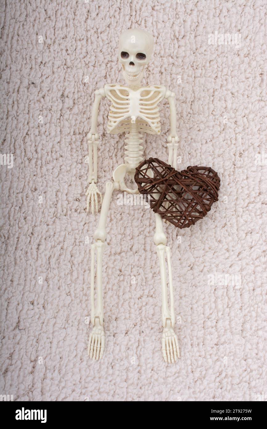 Heart and human skeleton model for medical anatomy science Medical ...