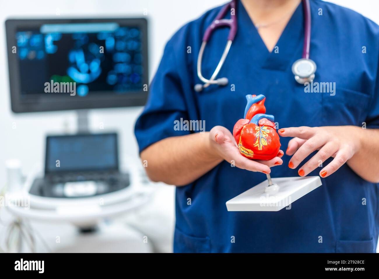 Close-up photo of a cardiologist holding a plastic heart shape model ...