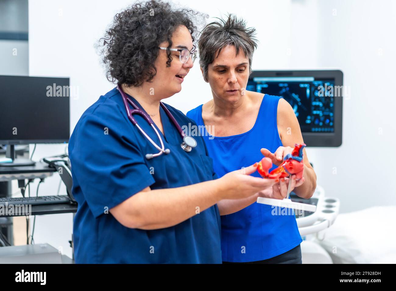 Female cardiologist providing explanations to a patient using a model ...