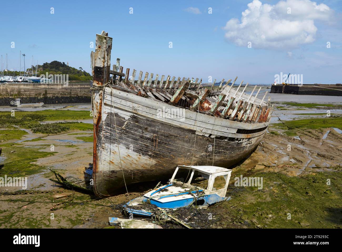 Old, rotting boats at low tide in the harbour of Paimpol, Cotes-d'Armor ...