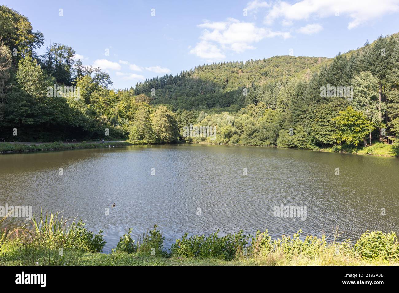A little lake surrounded by forrested hills in the sun Stock Photo - Alamy