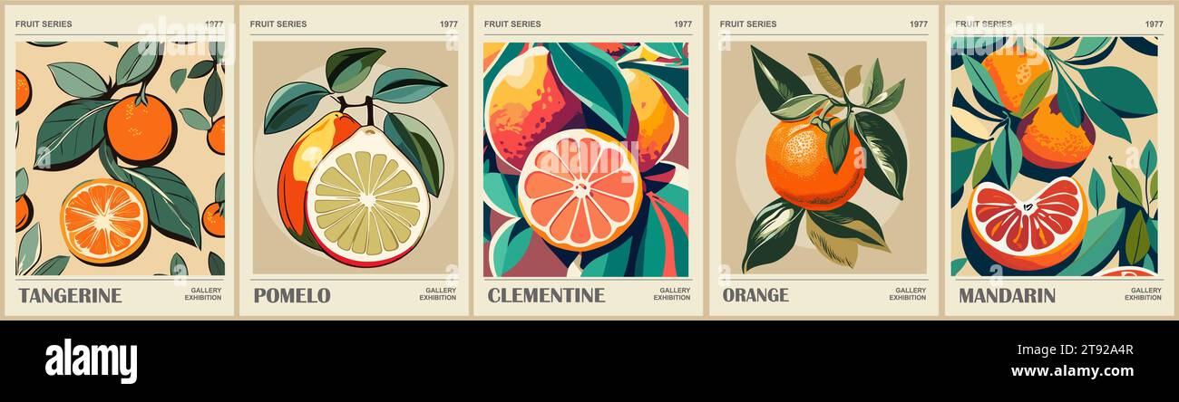 Set of abstract Citrus Fruit Market retro posters Stock Vector Image ...