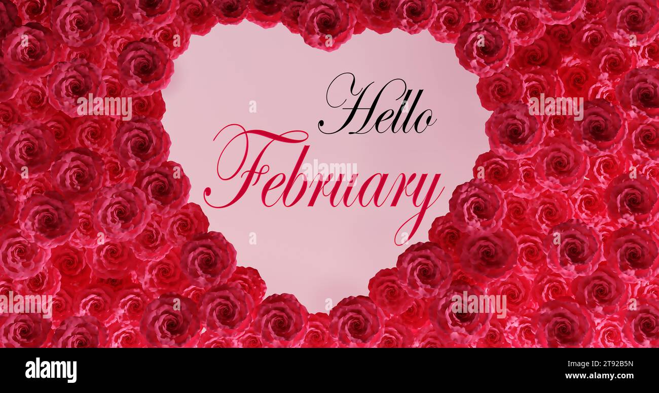 Hello February text isolated on red and pink roses background 8k Stock ...