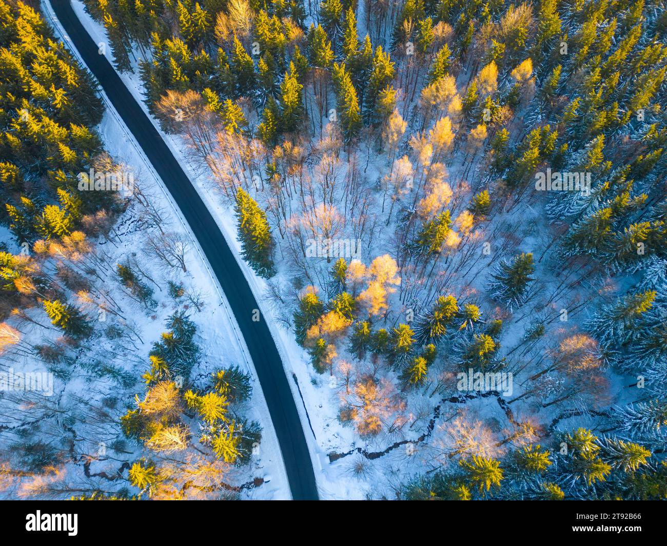 Asphalt road in snowy wintertime. Cold winter and sunny day above ...
