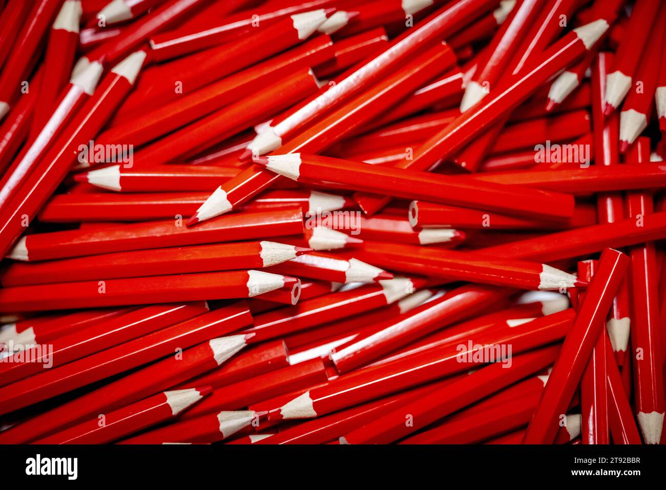 THE HAGUE - Voters cast their votes at the polling station in the Music ...
