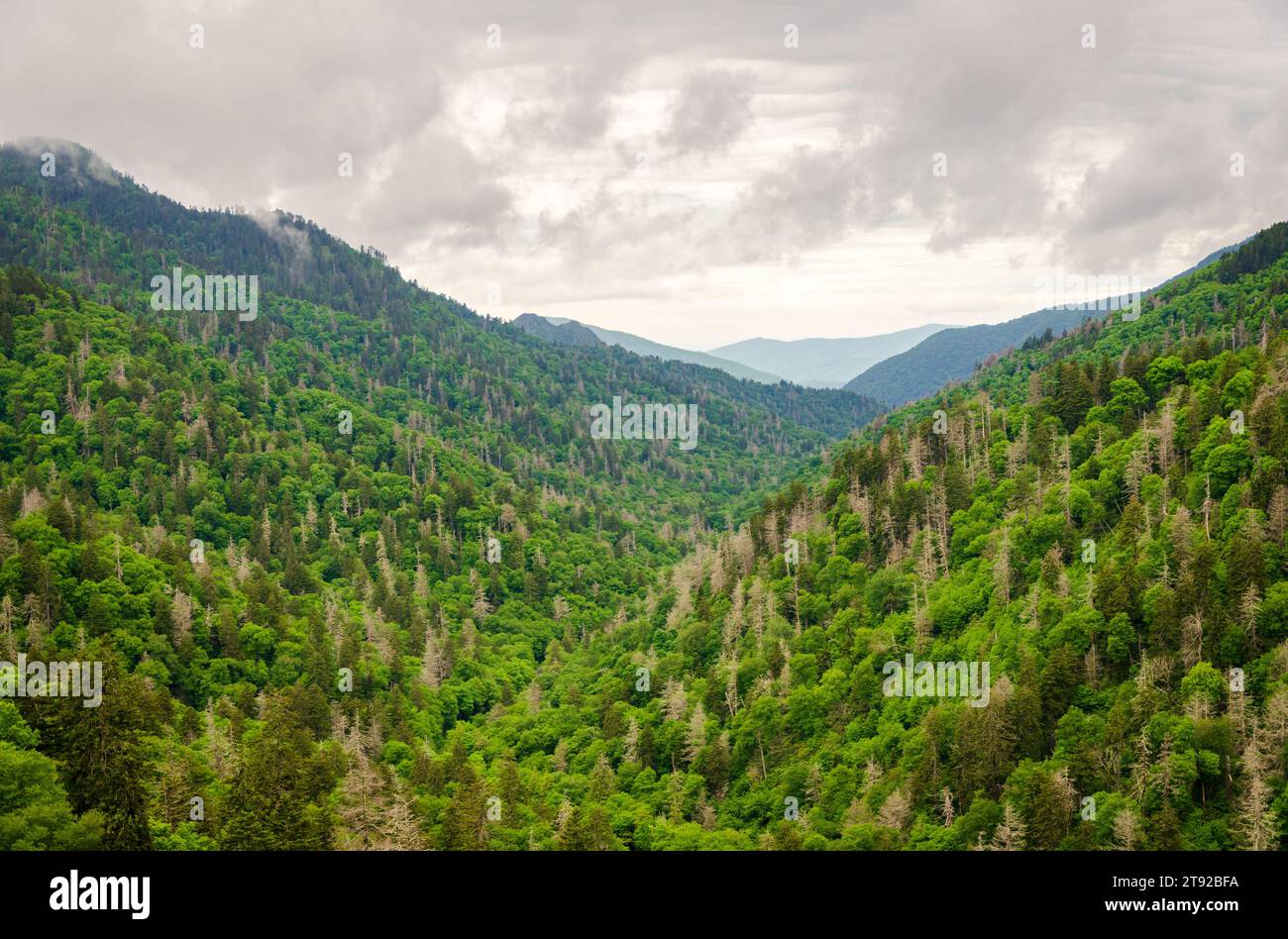 Overlook on a Moody Day at the Great Smoky Mountains National Park in ...