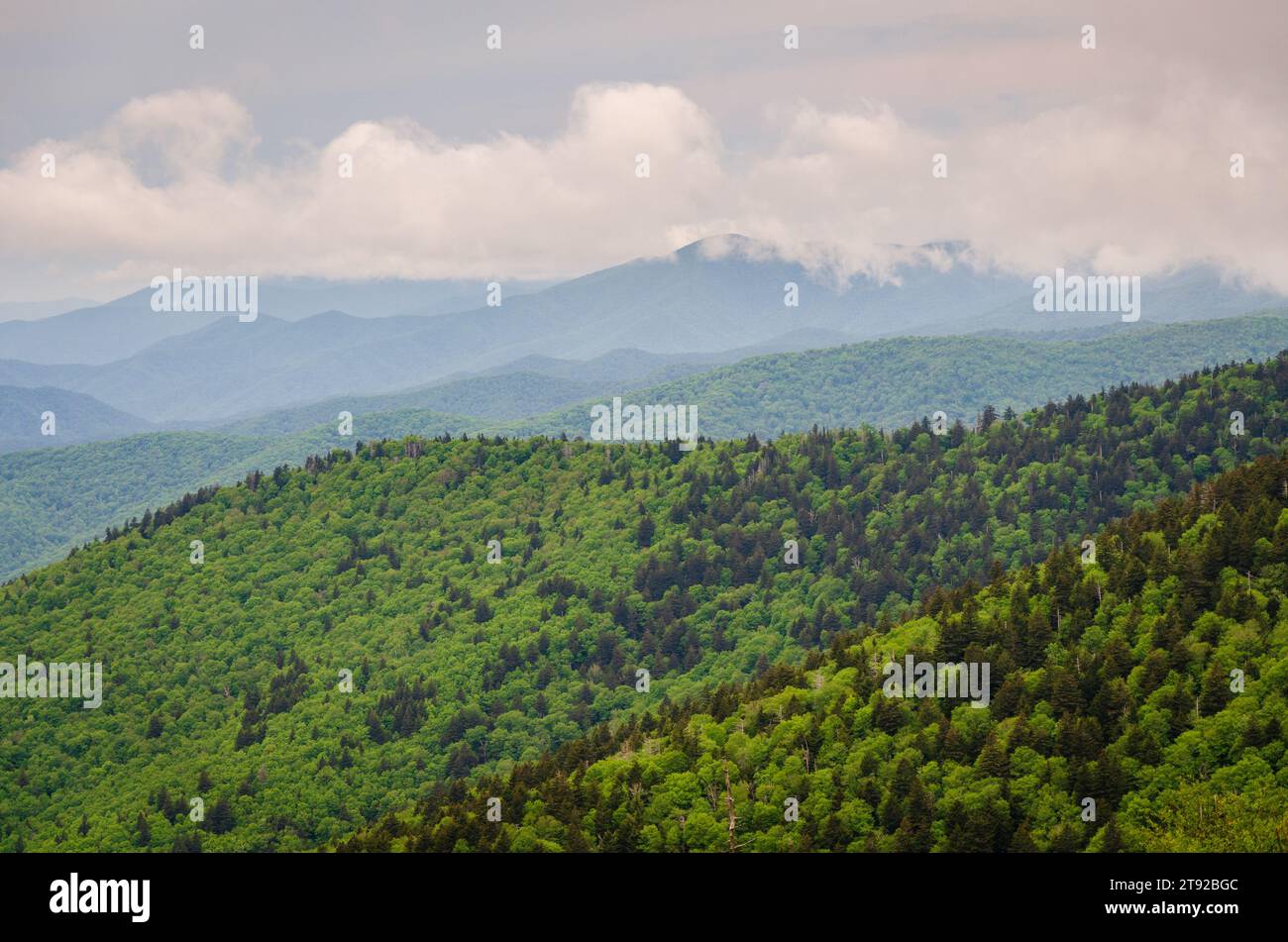 Overlook on a Moody Day at the Great Smoky Mountains National Park in ...