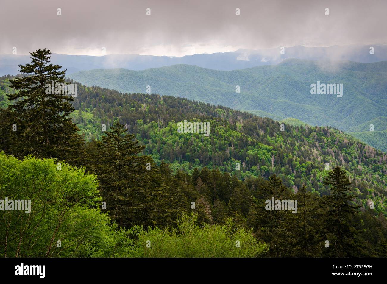 Overlook on a Moody Day at the Great Smoky Mountains National Park in ...