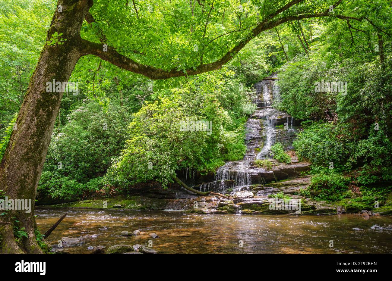 Tom Branch Falls at The Great Smoky Mountains National Park in North ...
