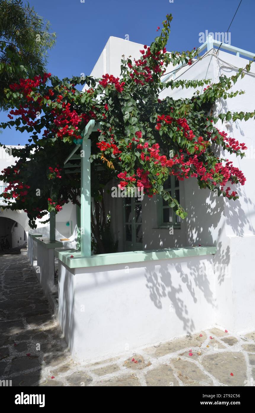 Greece, Aegean, Kyklades, Antiparos island the village and neoclassical ...