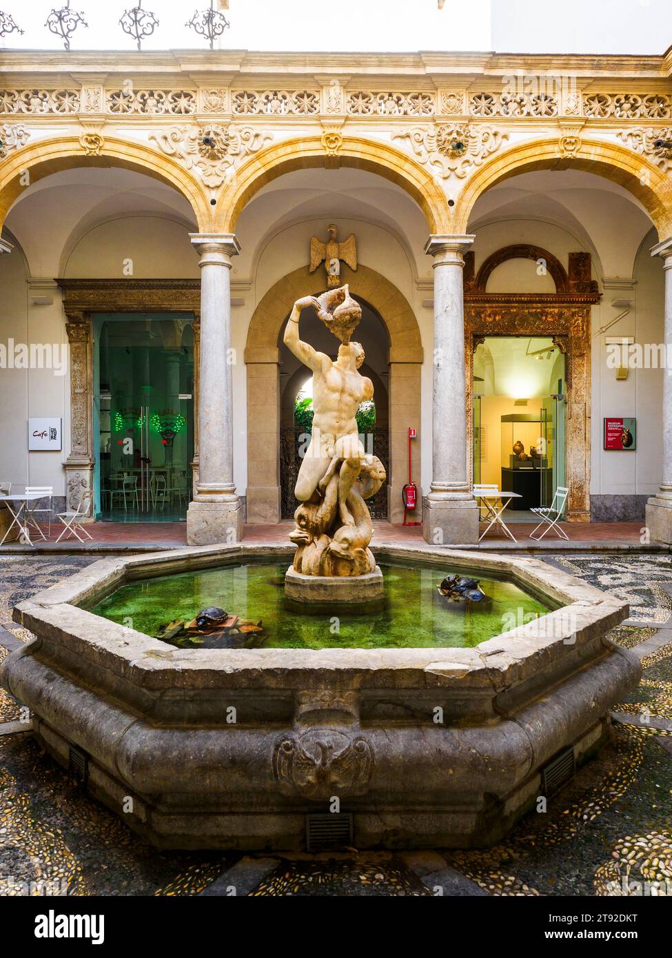 Fountain in the courtyard in the Antonino Salinas Regional ...
