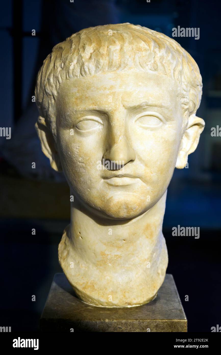 Head portrait of a prince of the Julio-Claudian dynasty of Roman ...