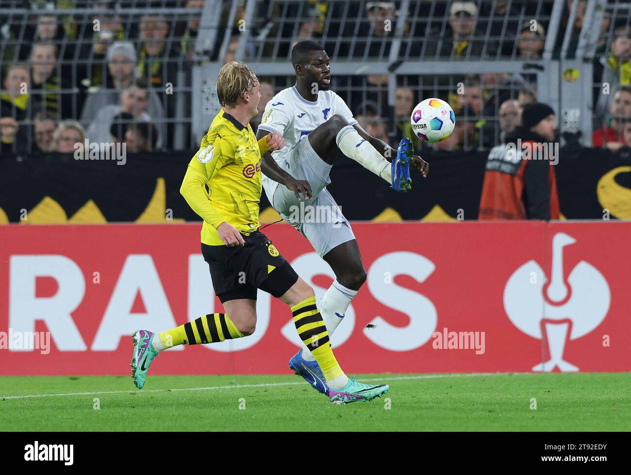 Dortmund, Deutschland. 01st Nov, 2023. firo: 01.11.2023, football ...