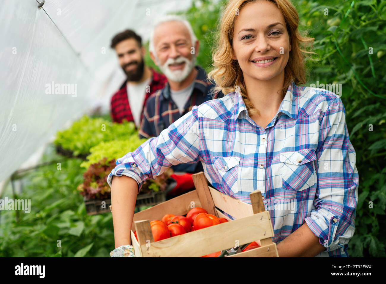 Multicultural family community garden hi-res stock photography and ...