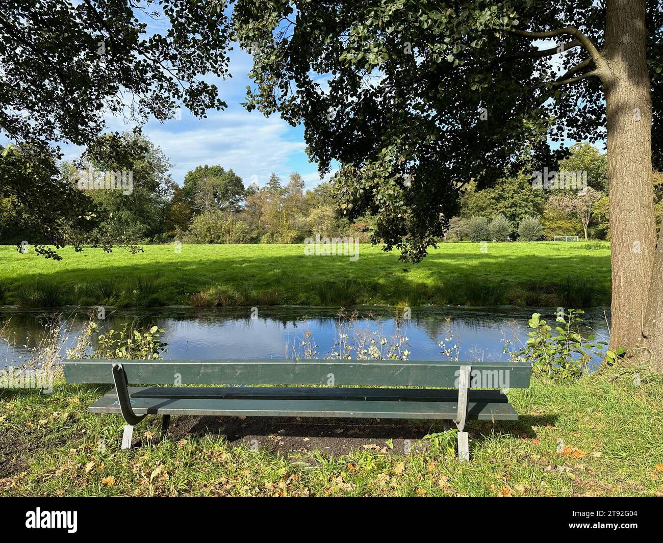 Empty bench near pond hi-res stock photography and images - Alamy