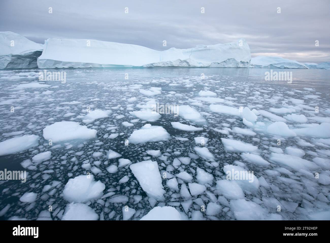 Arctic nature landscape with icebergs in Antarctica with midnight sun ...
