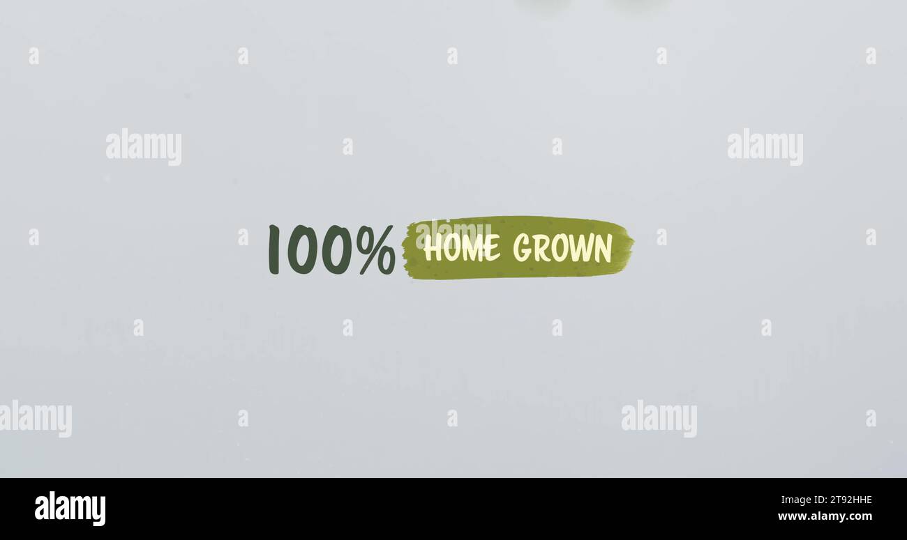 Composite of 100 percent home grown text over grey background with copy ...