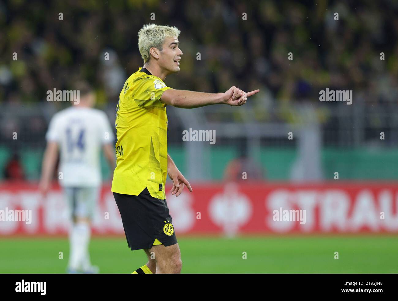 Dortmund, Deutschland. 01st Nov, 2023. firo: 01.11.2023, football ...