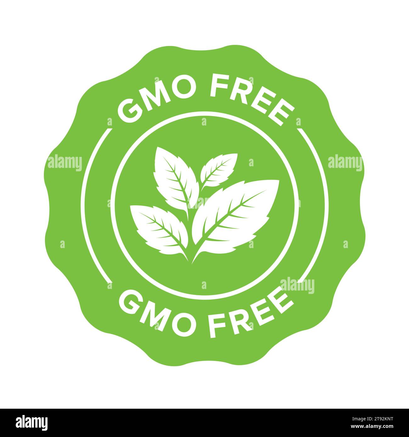 Gmo Free Icon Vector Green Leaf Non Gmo Logo Sign For Healthy Food Package Design Stock Vector