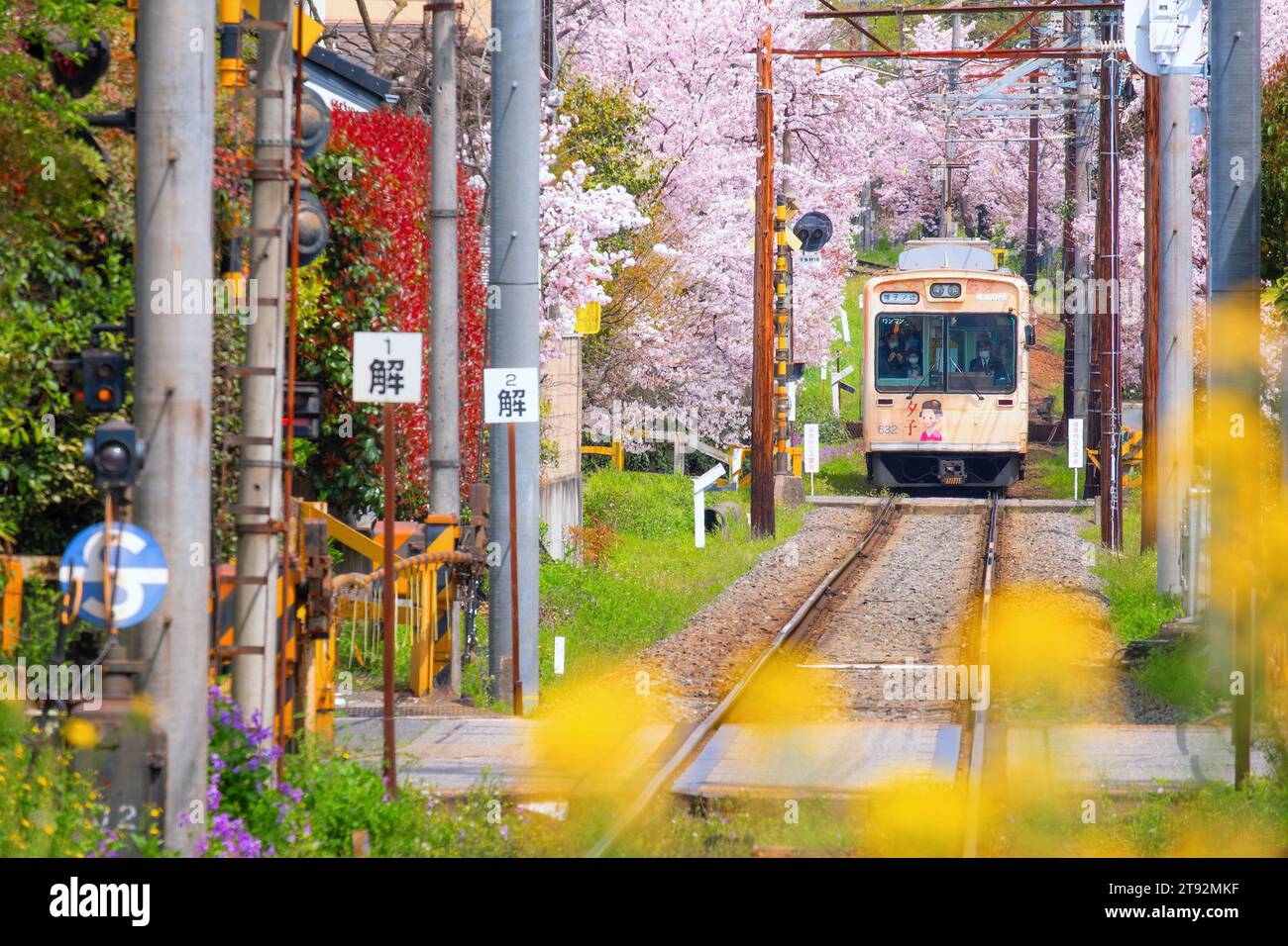 Kyoto, Japan - March 31 2023: Keifuku Tram is operated by Keifuku ...