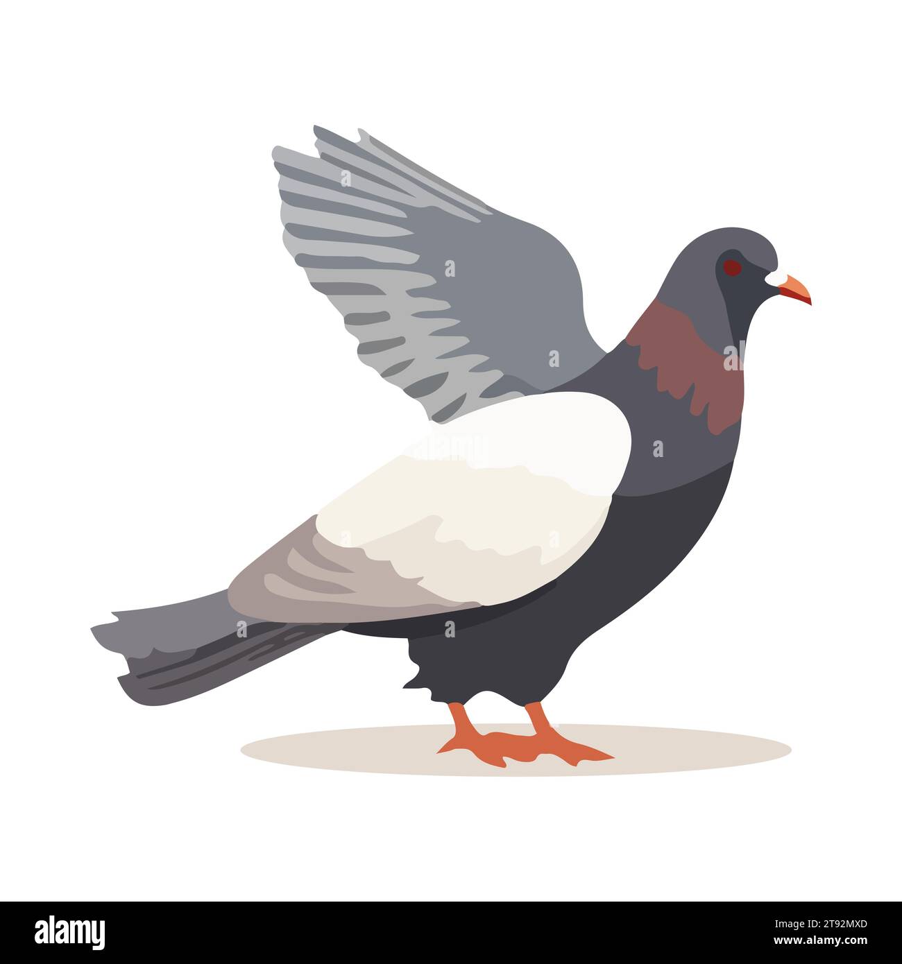 Cartoon pigeon isolated on white background. Cartoon style. Vector ...