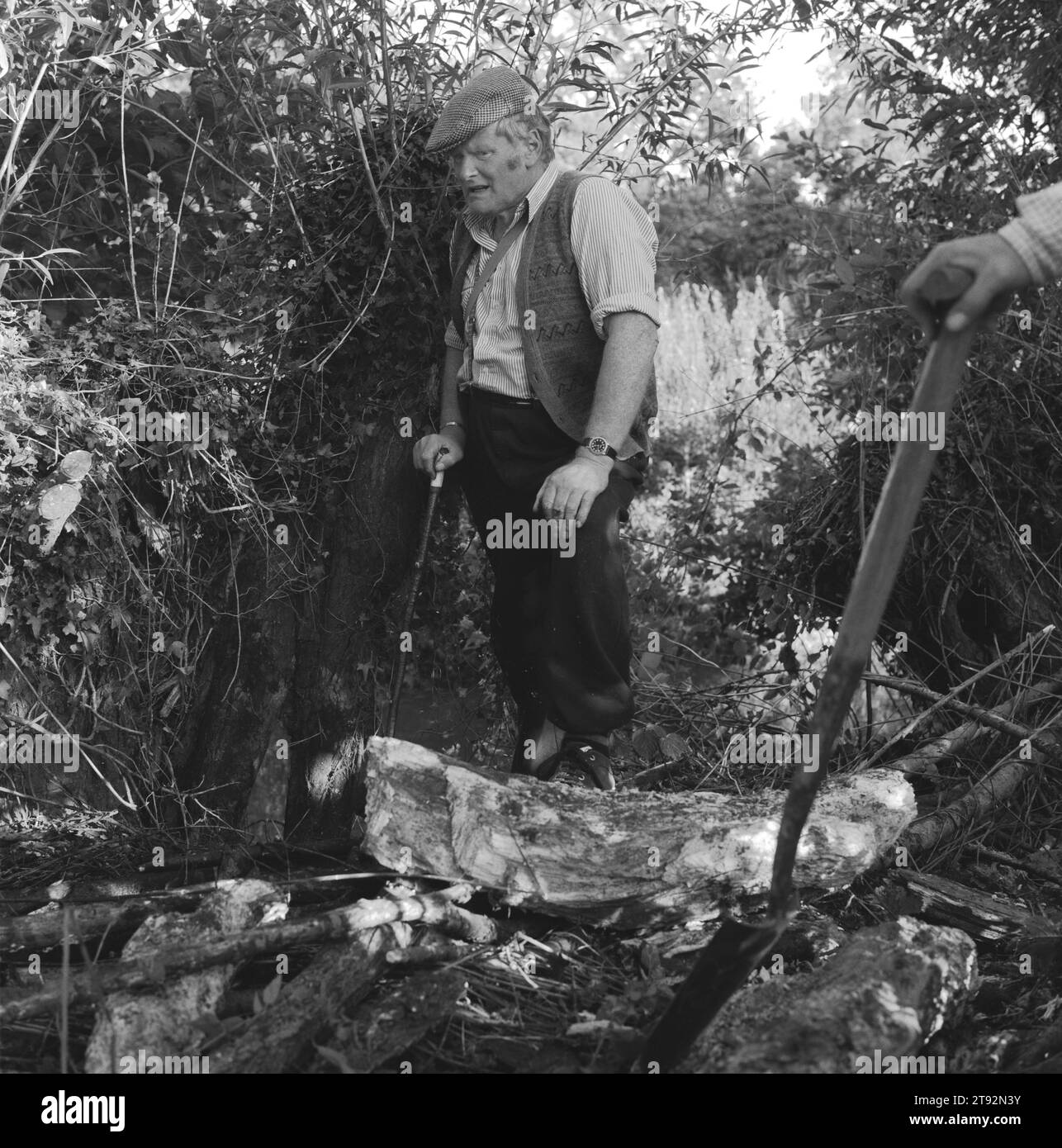 The valley minkhounds hi-res stock photography and images - Alamy