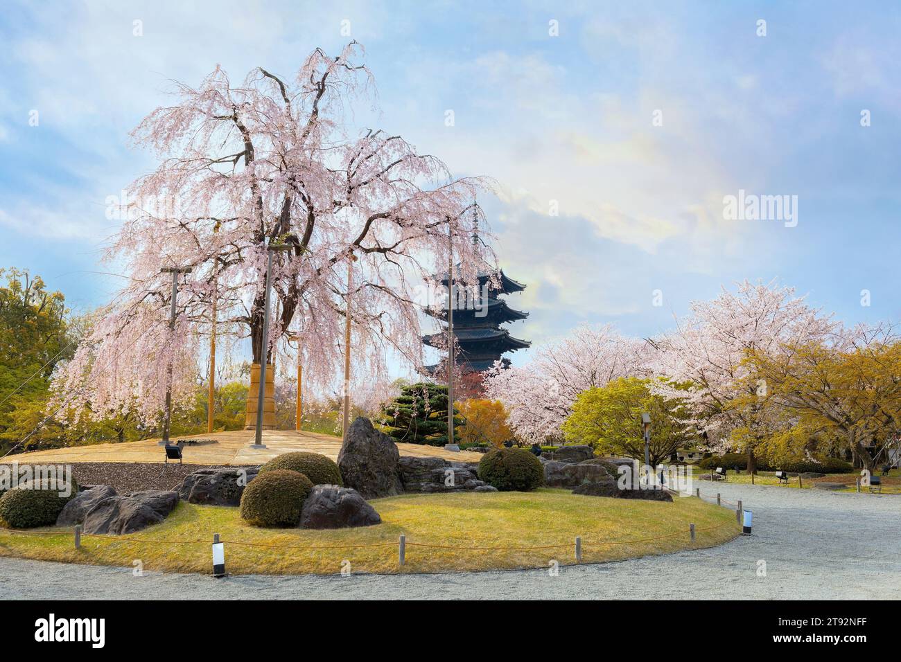 Toji temple kyoto gate hi-res stock photography and images - Alamy