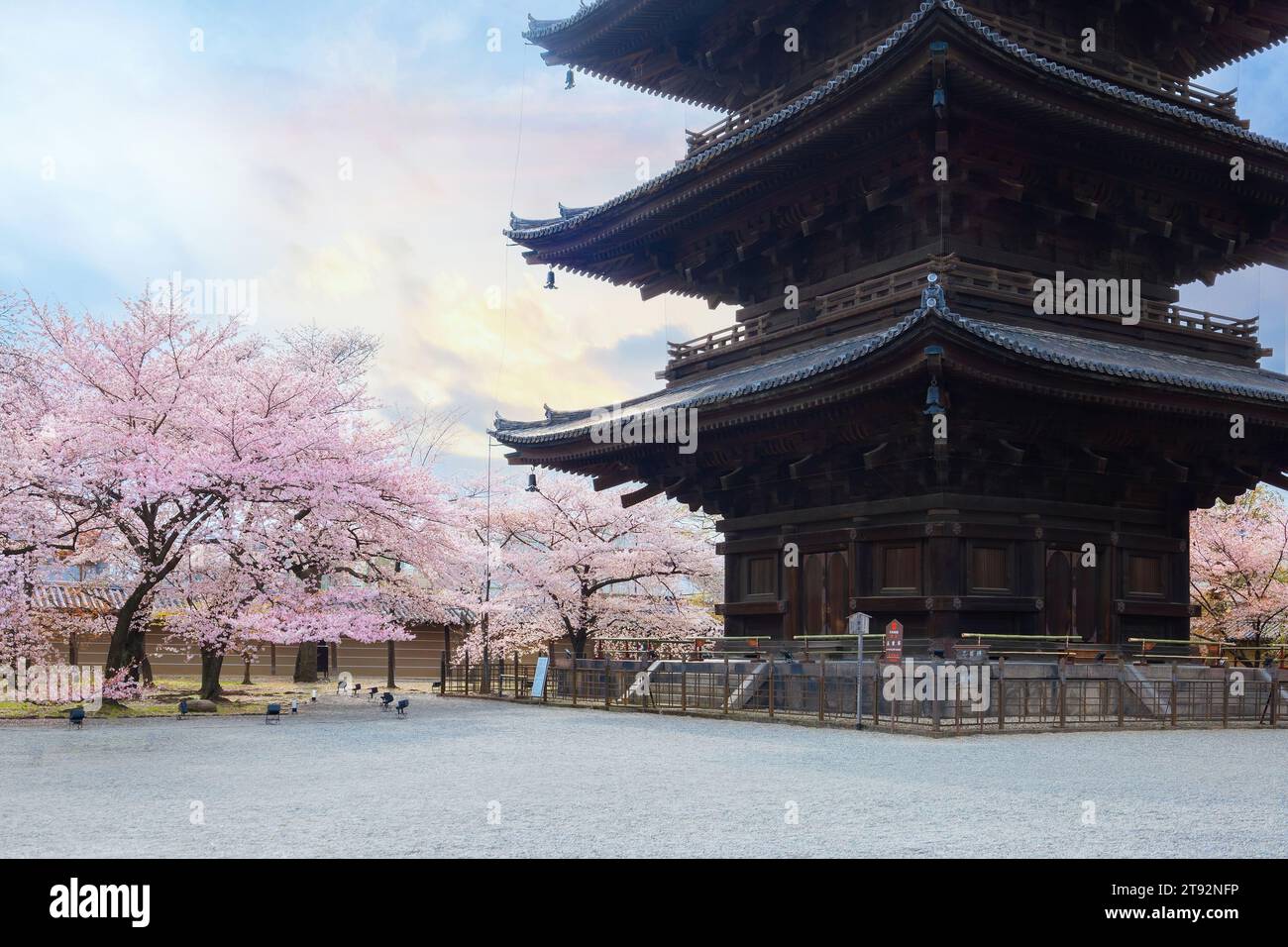 Toji temple kyoto gate hi-res stock photography and images - Alamy