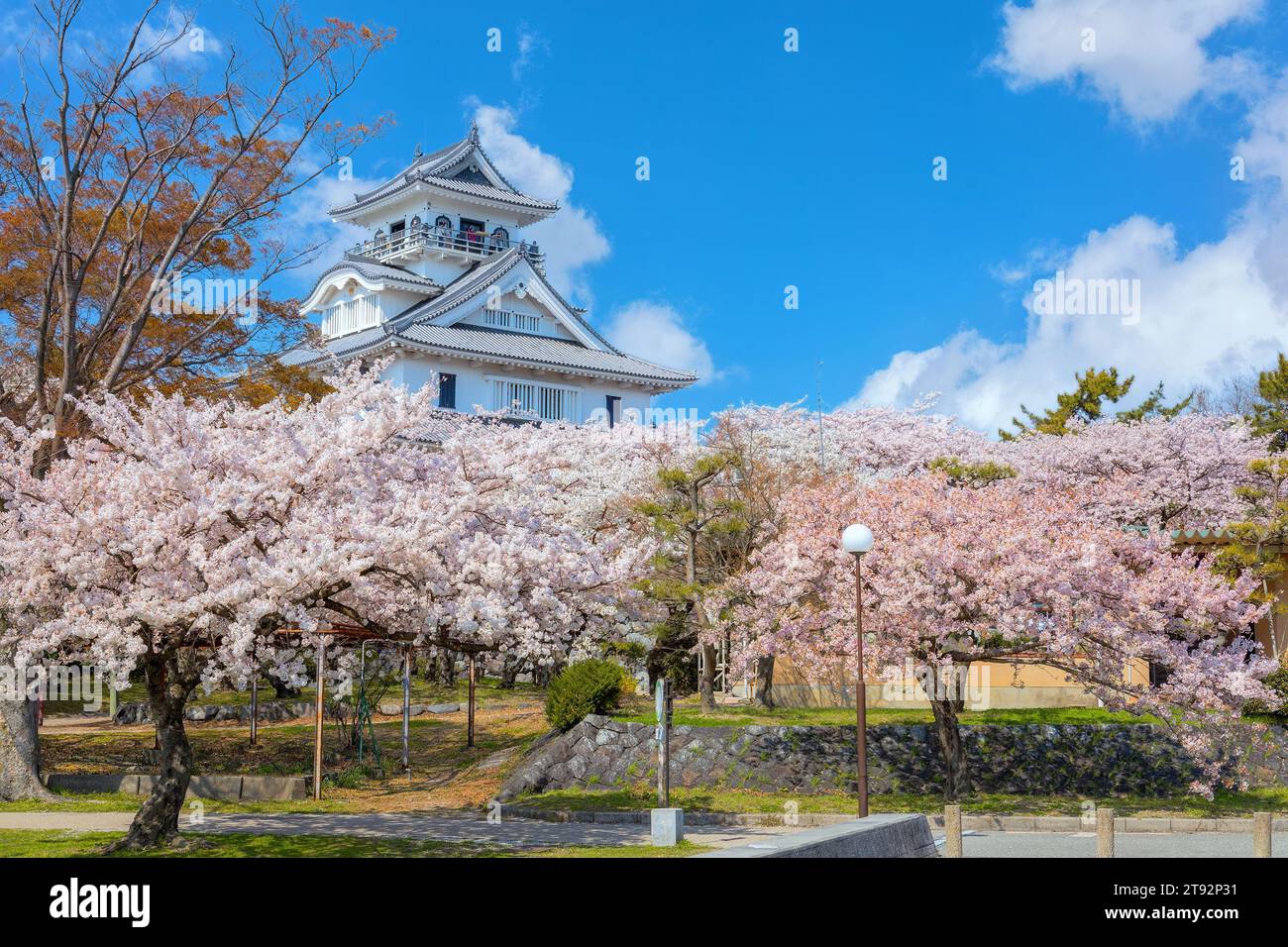 Shiga, Japan - April 3 2023: Nagahama Castle built by feudal lord ...