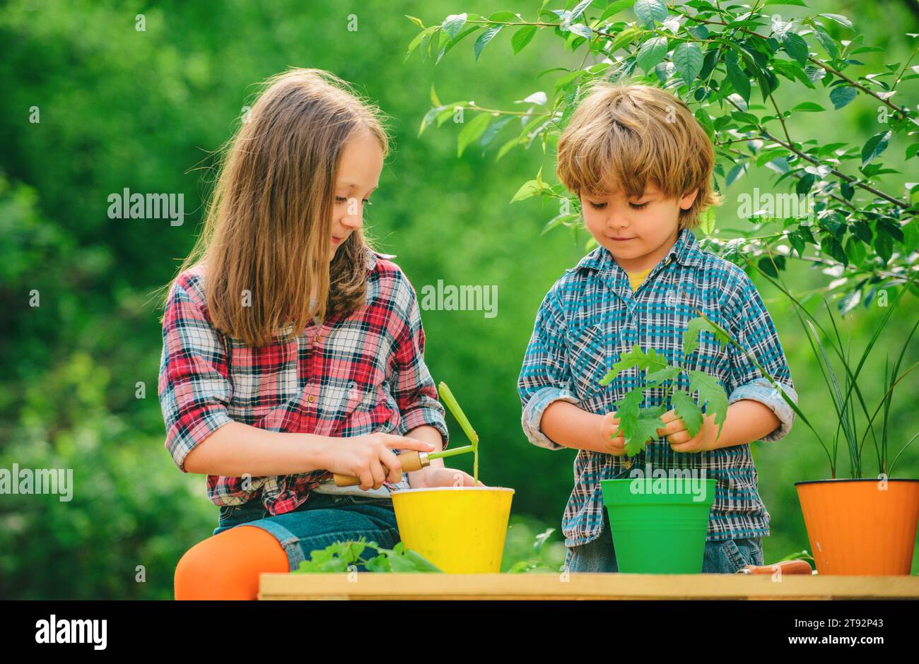 Cute little children enjoying at countryside. Child playing Happy ...