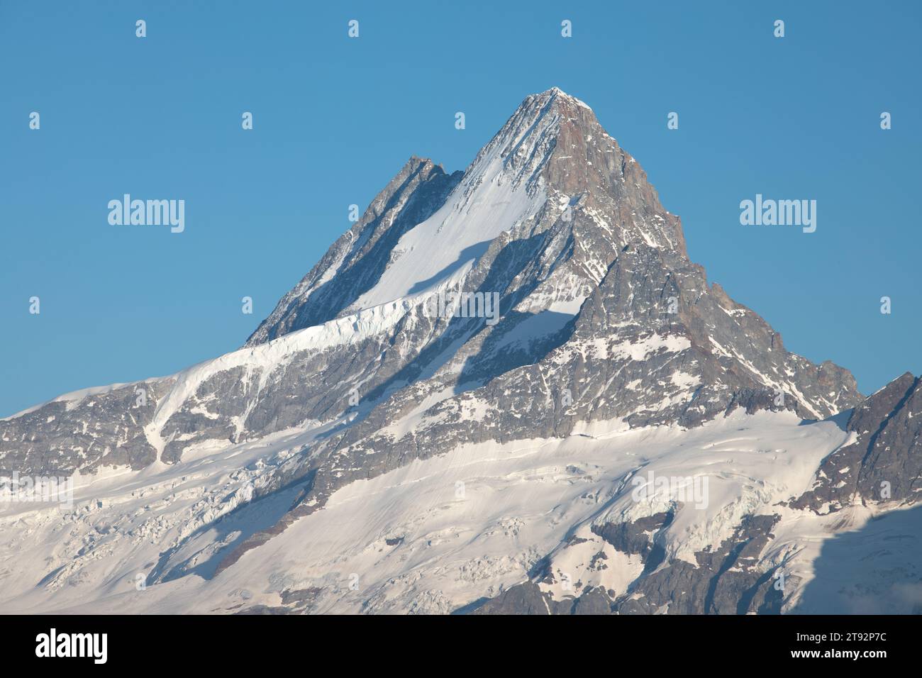 Panorama of Mt. Schreckhorn. Popular tourist attraction. Dramatic and ...