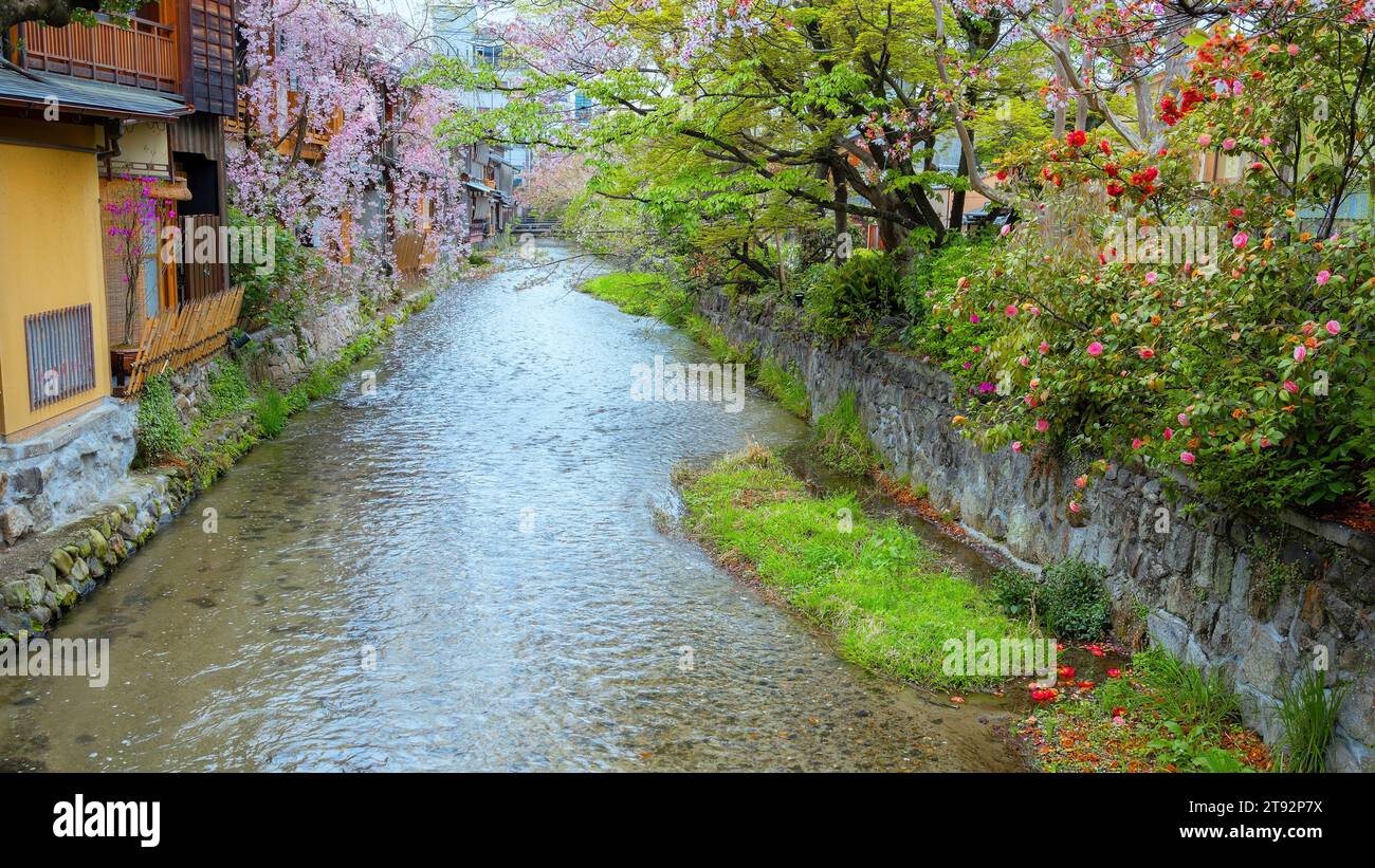 Tourist on tatsumi bridge hi-res stock photography and images - Alamy