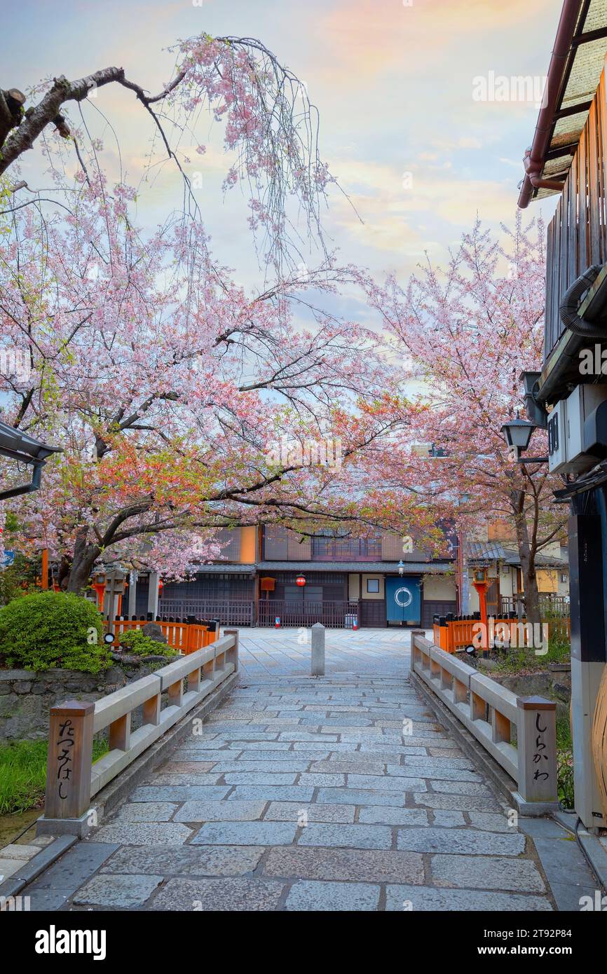 Kyoto, Japan - April 6 2023: Tatsumi bashi bridge is the iconic place ...