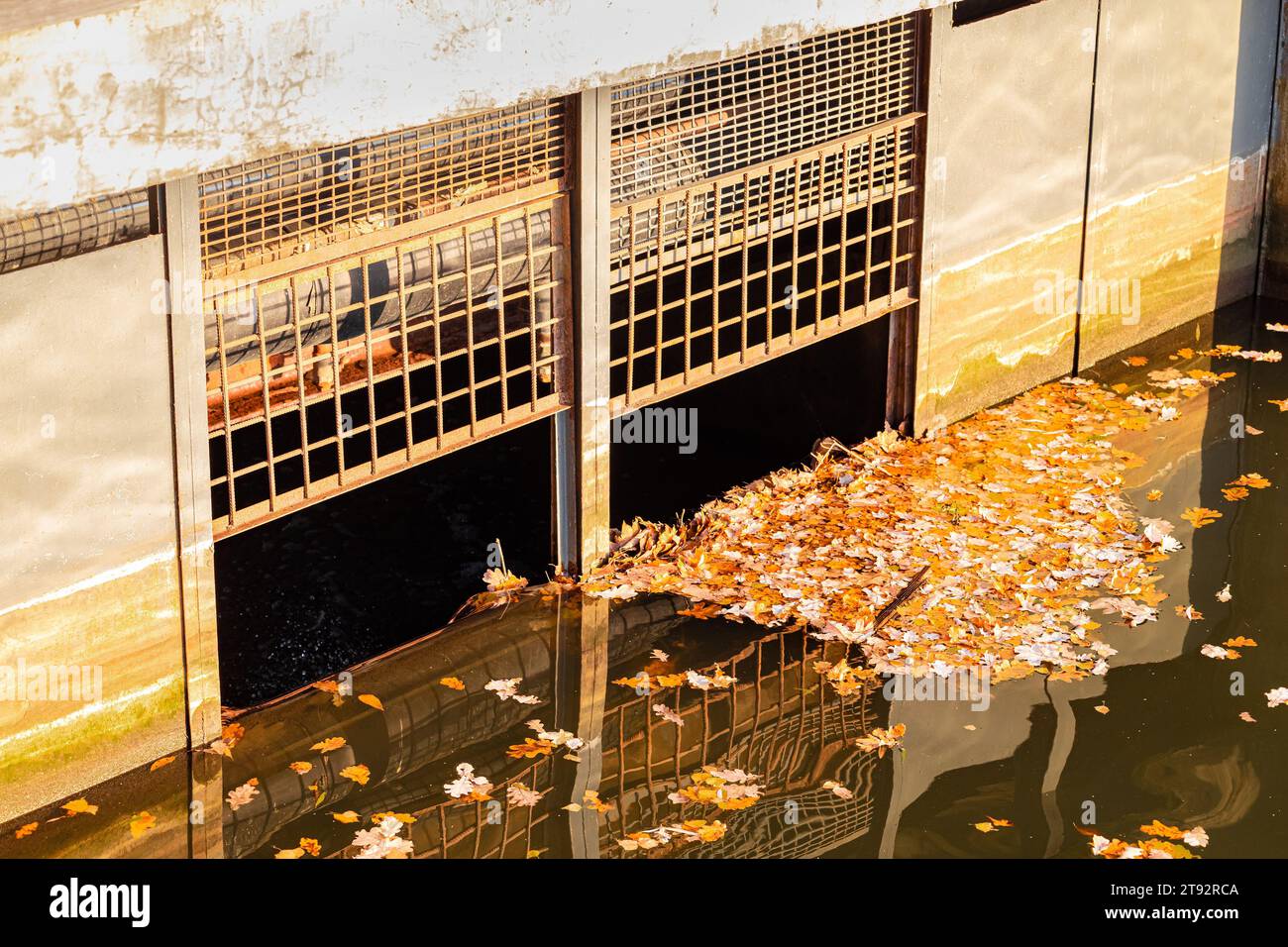water discharge system from a city reservoir. leaves float in the water ...
